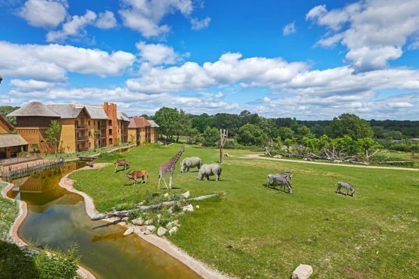 Le PAL, un Parc d'attractions et animalier remarquable